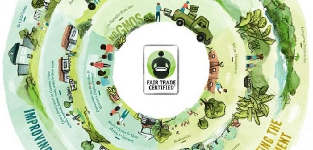 Why All Consumers Should Care About Fair Trade – cocokind